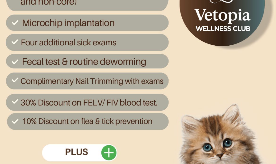 Vetopia Animal Hospital